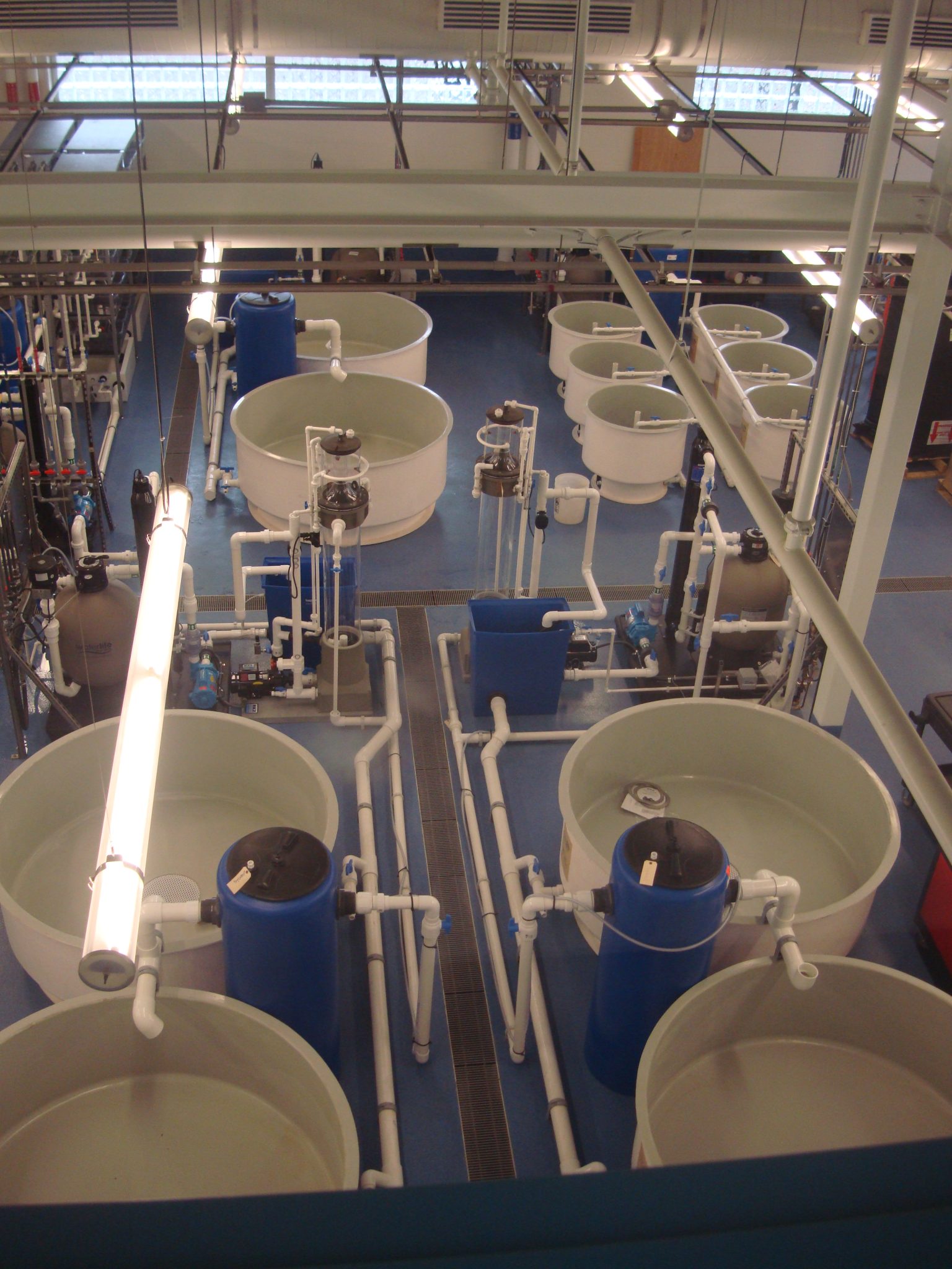 Professional RAS Design | EDA-Aquatic Design Services