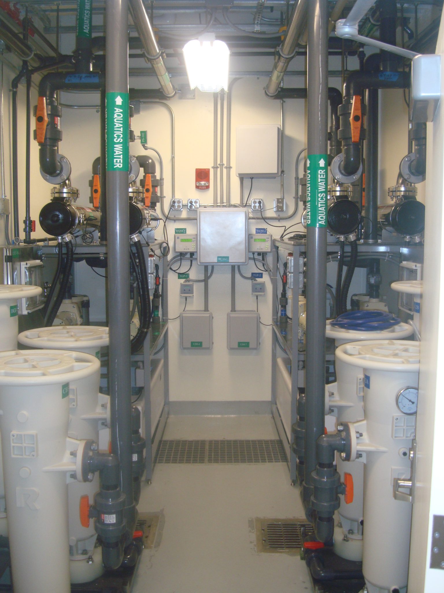 Professional RAS Design | EDA-Aquatic Design Services